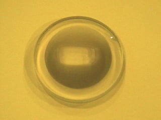 PLD Intelligent Window